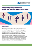 Pregnancy and parenthood while you are in school or education: leaflet ...